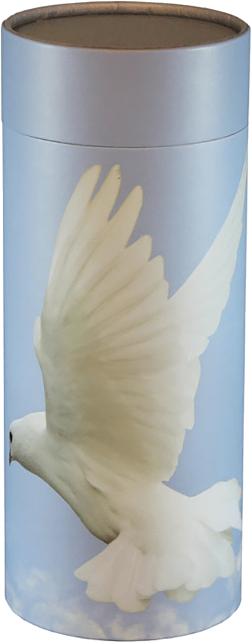 Download Bio Tubes - Scattering PNG Image with No Background - PNGkey.com