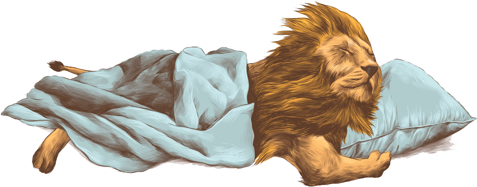 Download Lion Png - Lion Sleeping Cartoon PNG Image with No Background ...