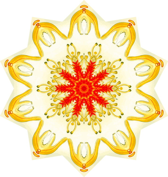 Download Color Flower Rangoli Drawing Free Commercial Clipart - Rangoli ...