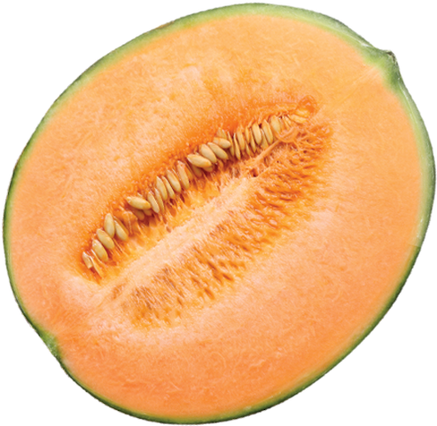 Download Honeymoon - Melon Png PNG Image with No Background - PNGkey.com