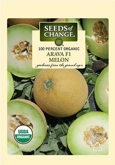 Download Organic Arava F-1 Melon Seeds - Seeds Of Change 21076 Organic ...