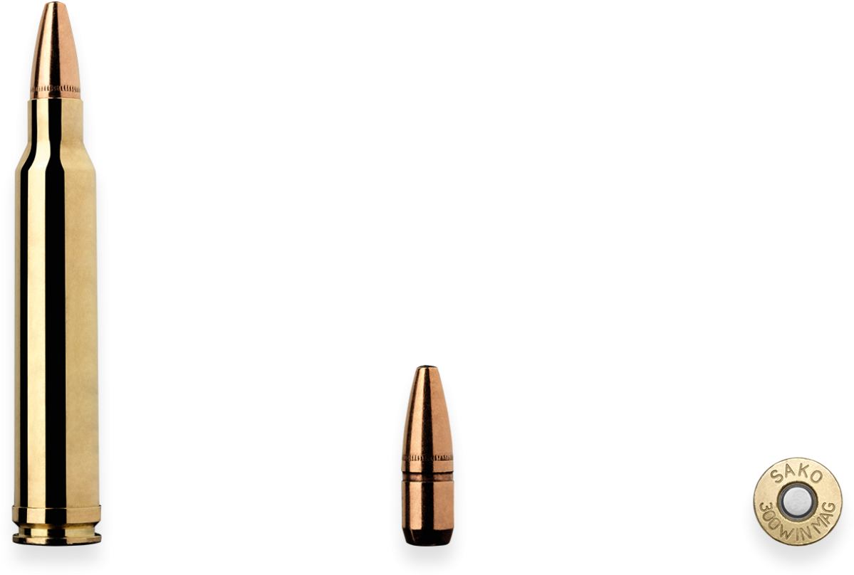 Bullets Png Image Without Background - Bullet - Free Transparent PNG ...