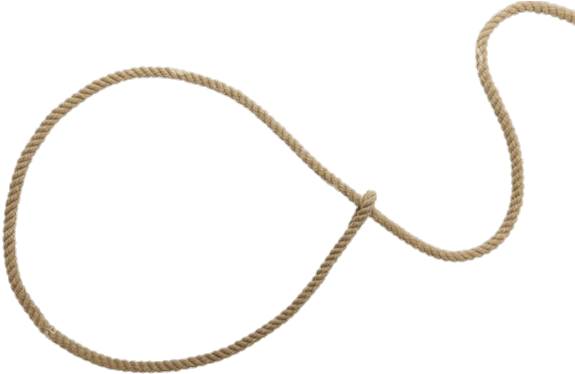 Download Download - Lazo Png PNG Image with No Background - PNGkey.com