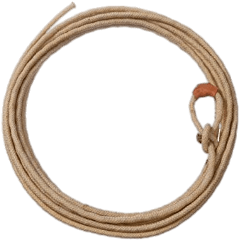 Download - Lasso Rope - Free Transparent PNG Download - PNGkey