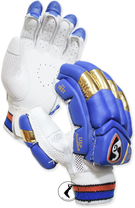 Download Sg Test Ro Cricket Batting Gloves, Blue Gold - Sg Cricket ...