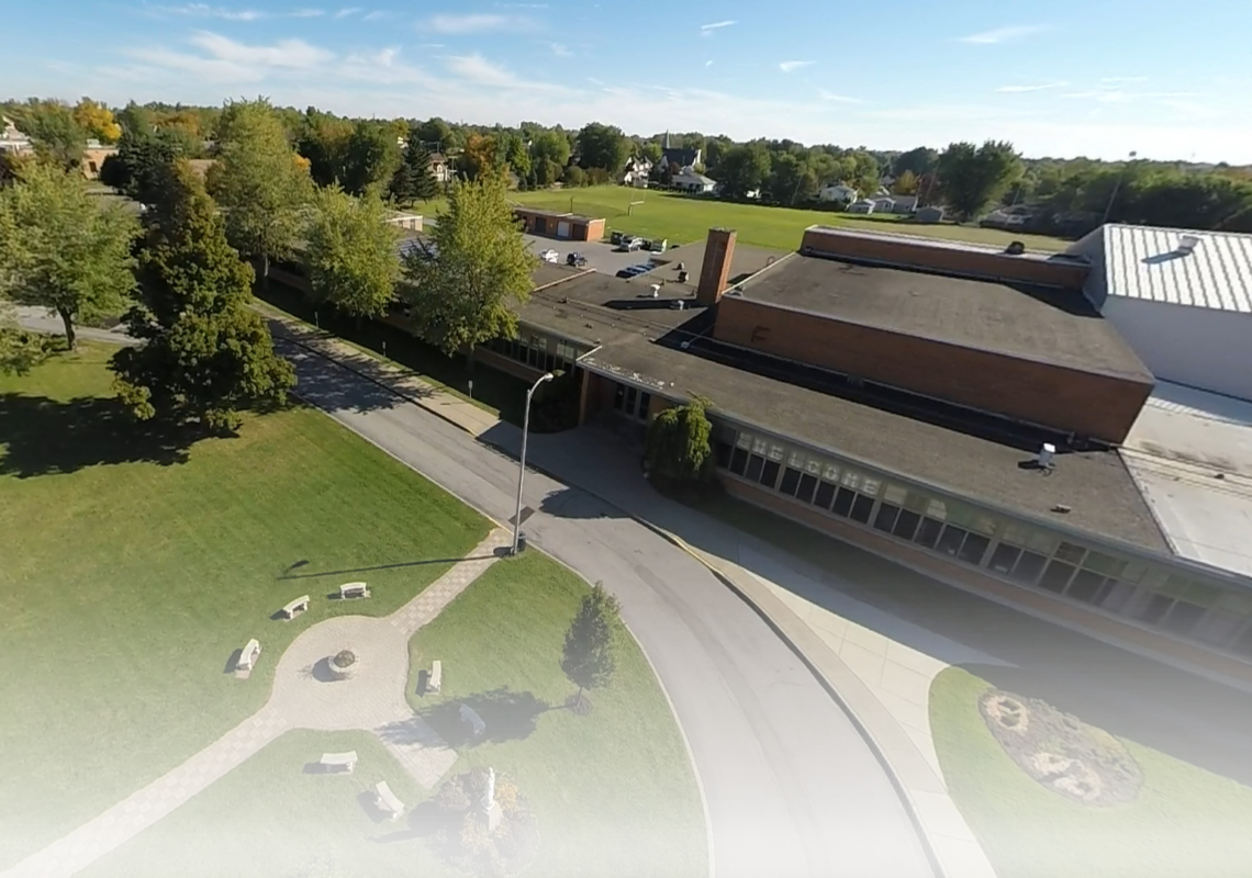 Download Aerial Tree Png PNG Image with No Background - PNGkey.com