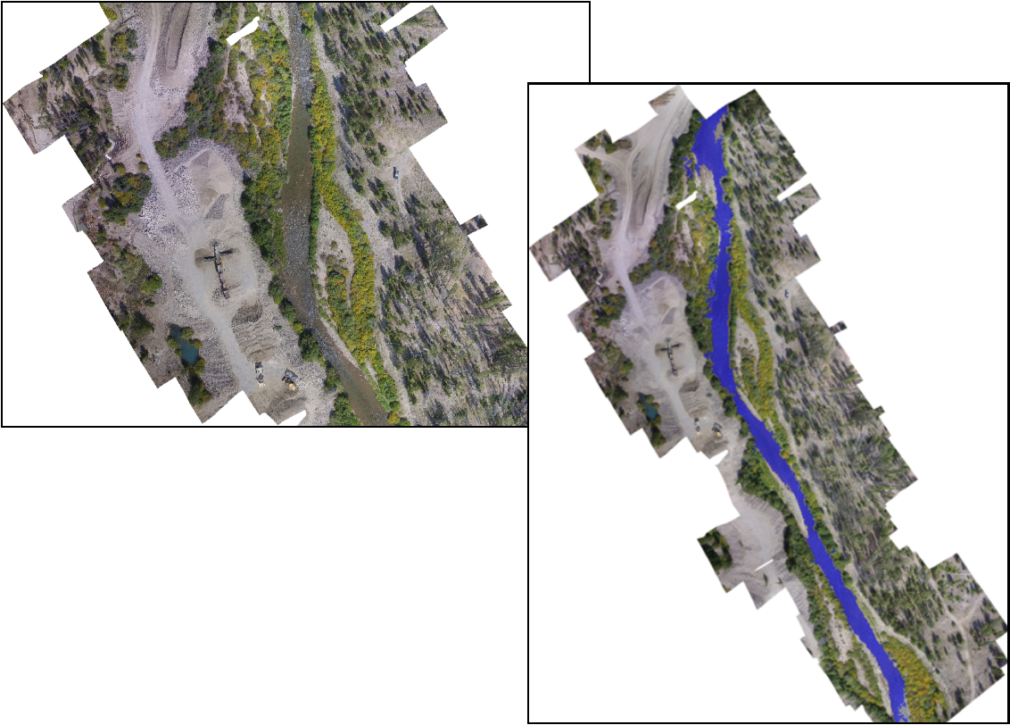 Download Remote Sensing And The Use Of Aerial Images Combine - Tree PNG ...