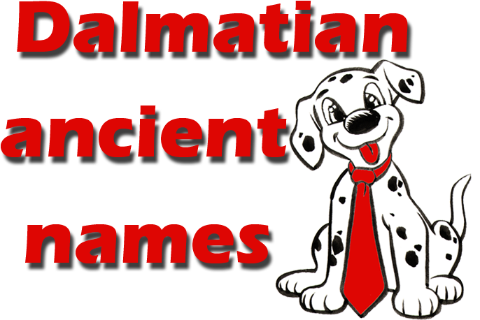 Download Real And Unique Ancient Dalmatian Names - Dalmatian Names PNG ...