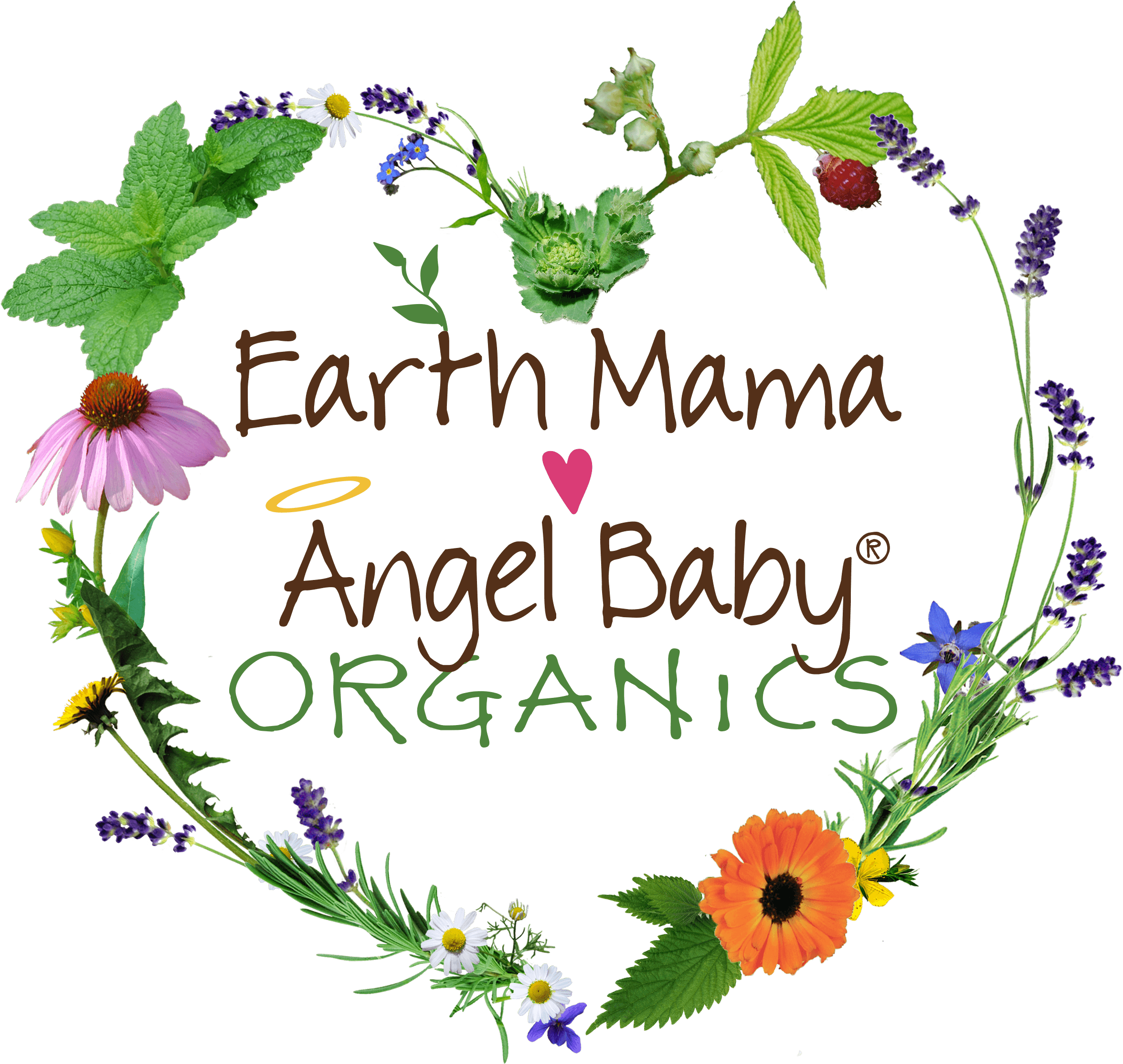 Download Earth Mama Logo - Earth Mama Angel Baby PNG Image with No ...