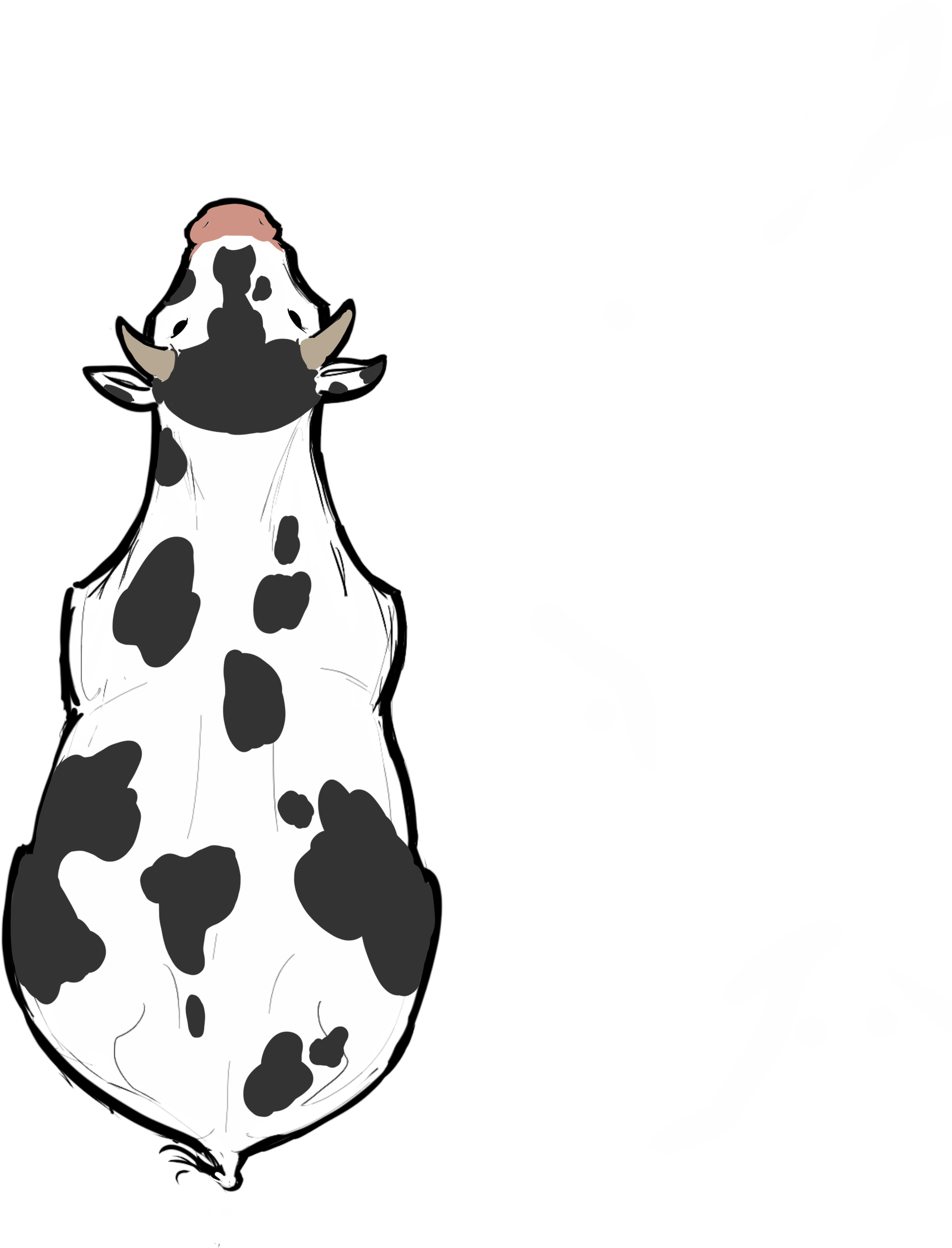 Download Cow From Above PNG Image with No Background - PNGkey.com