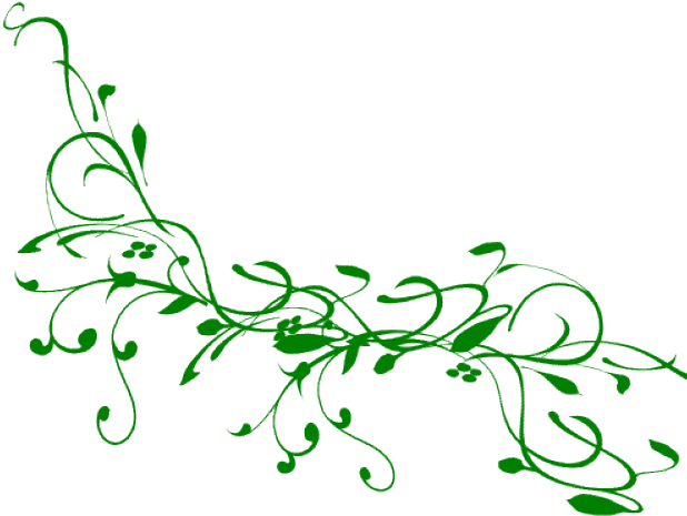 Drawn Vine Green Vine - Tree Branch Clip Art - Free Transparent PNG ...