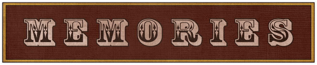 Download Fds Worn Tag Memories - Gun PNG Image with No Background ...