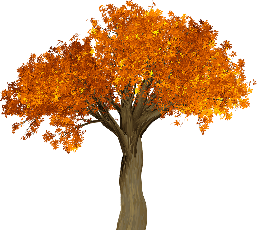 Download Cutout Autumn Tree PNG Image with No Background - PNGkey.com
