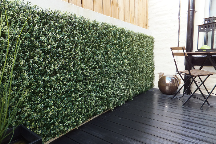 Hedge - Free Transparent PNG Download - PNGkey