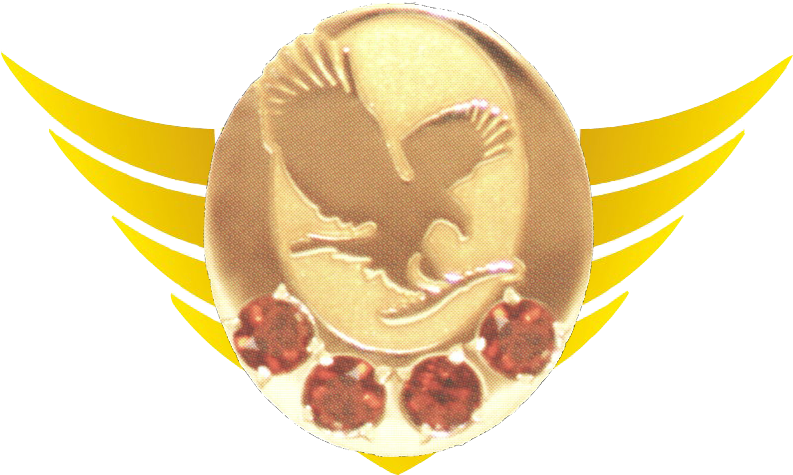 Download Soaring Eagle Png - Senior Manager Forever Living PNG Image ...