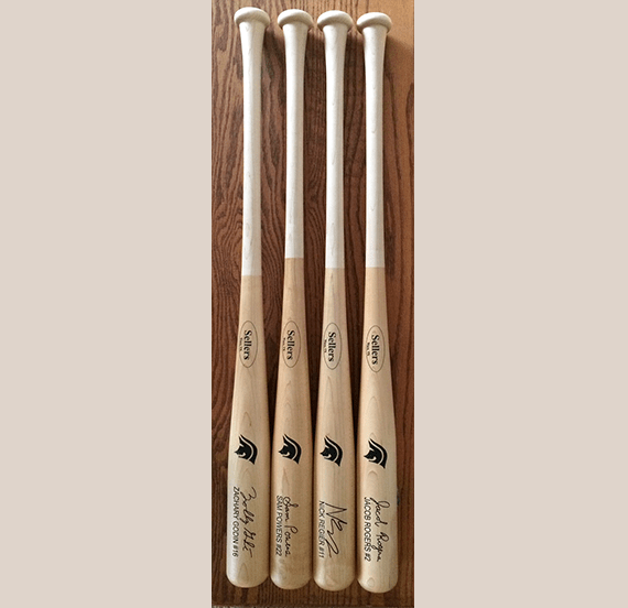Download Major League Baseball Bat - Stickball PNG Image with No ...