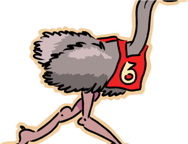 Emu Clipart Run - Emus Playing Football Cartoon - Free Transparent PNG ...