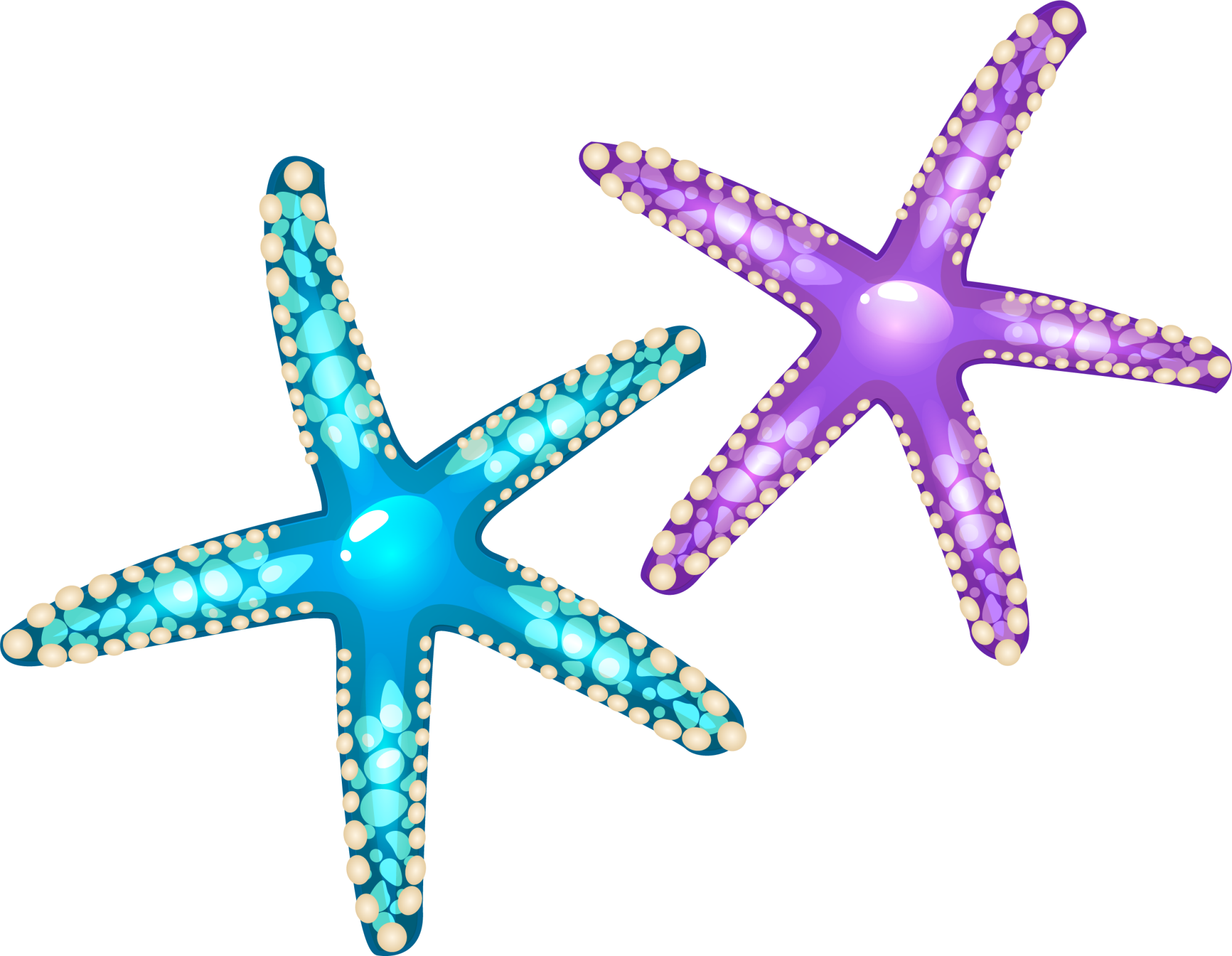 Download Starfish Euclidean Vector Seashell - Purple Starfish Png PNG ...