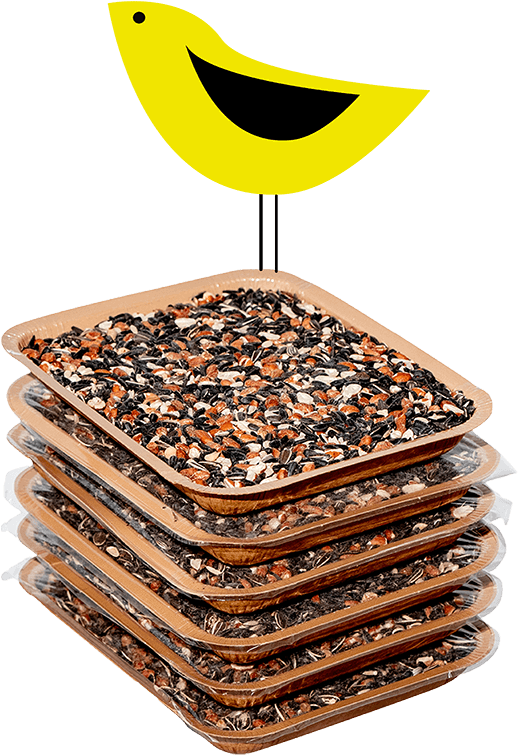 Download Description - Illustration PNG Image with No Background ...