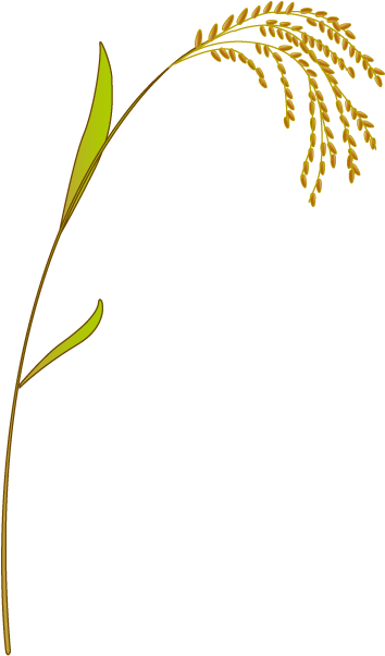 201109 Rice - Vector Leaf Rice Png - Free Transparent PNG Download - PNGkey