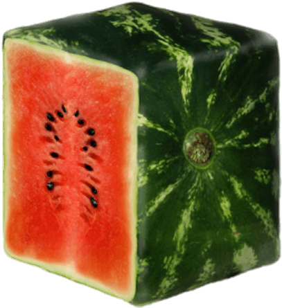 Download Sliced Square Watermelon Png - Square Watermelon PNG Image ...