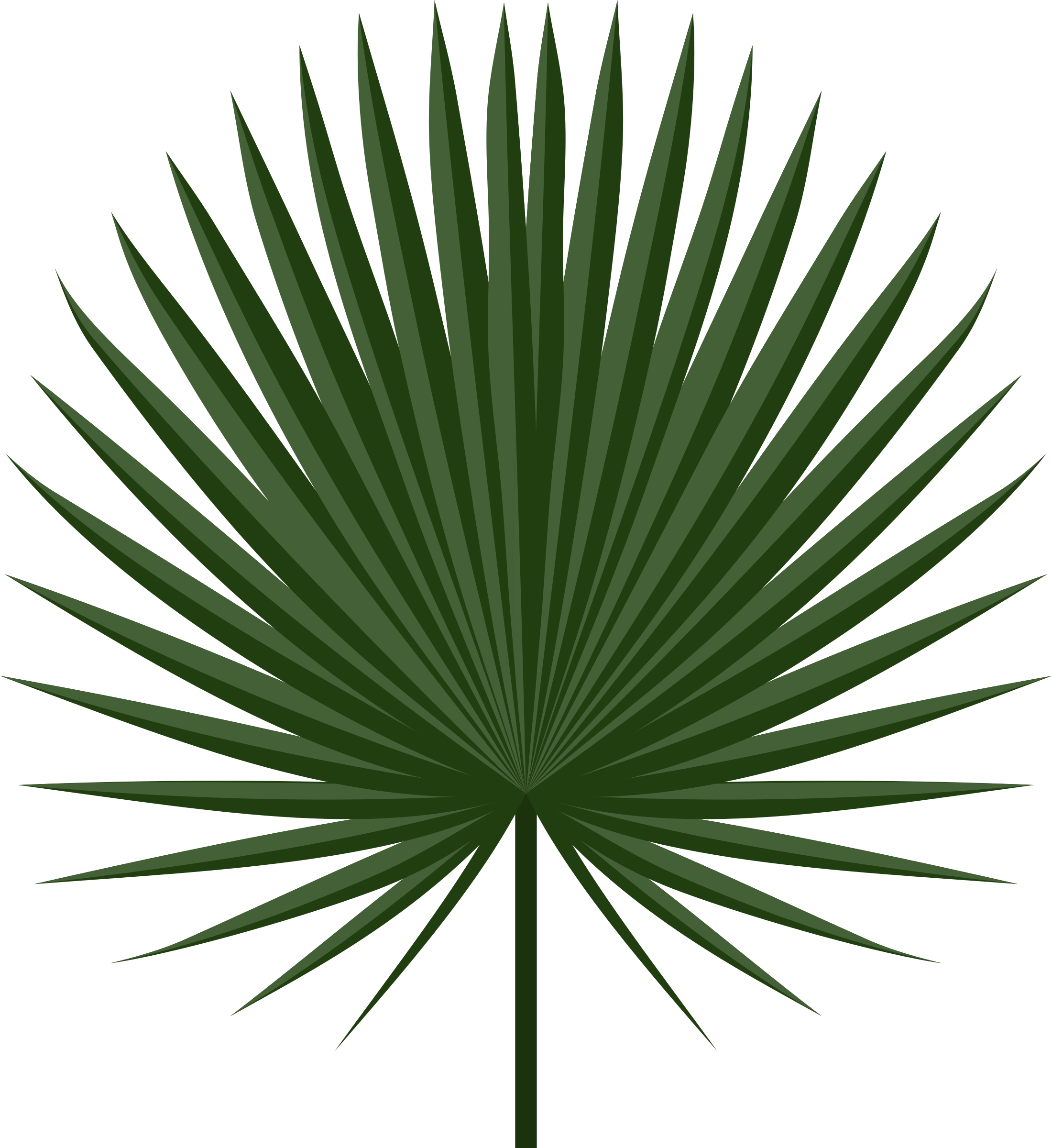 Download Sabal Leaf Icons Png - Palmleaf Png PNG Image with No ...