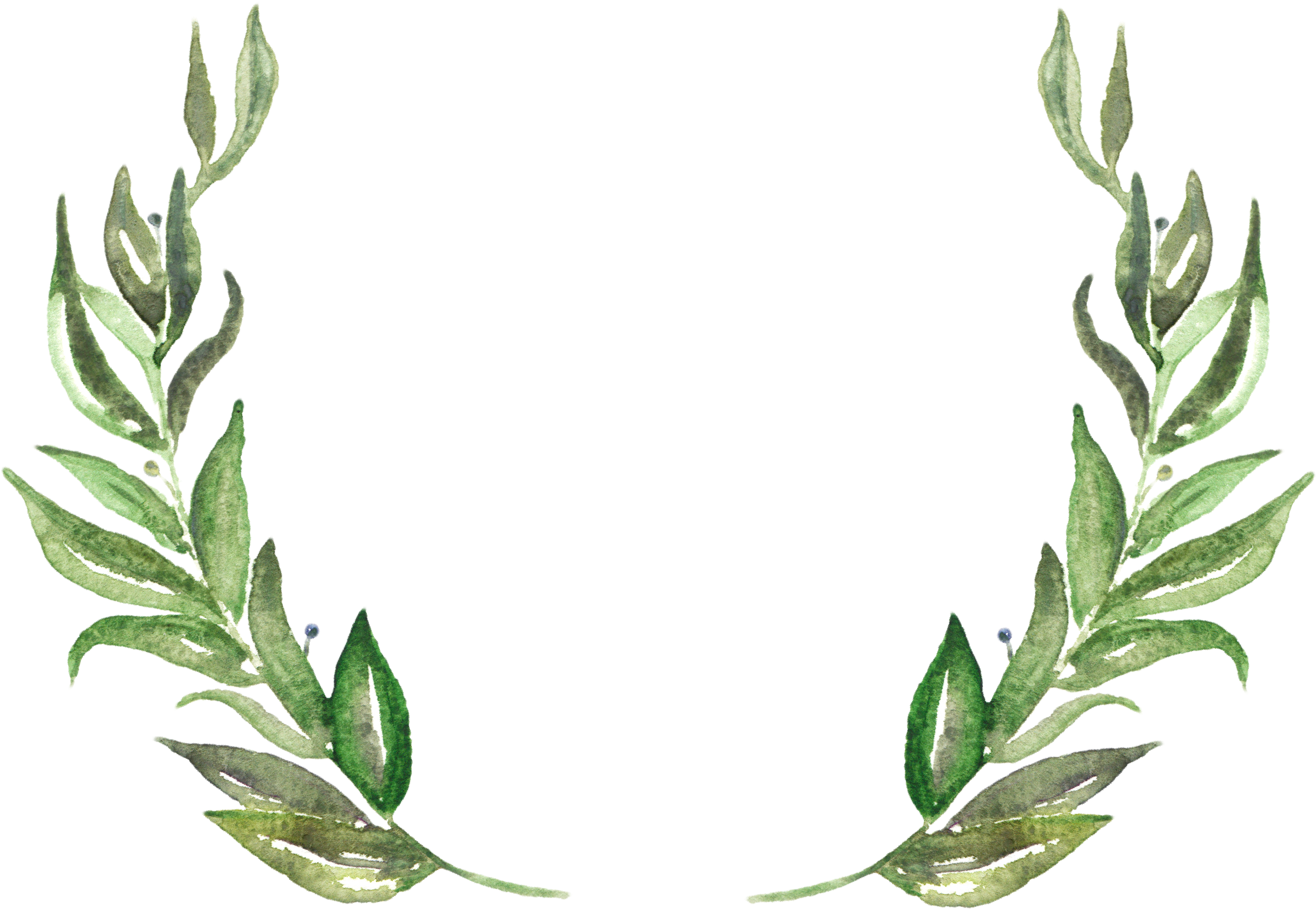 Leaves Png - Wedding Grass Png - Free Transparent PNG Download - PNGkey