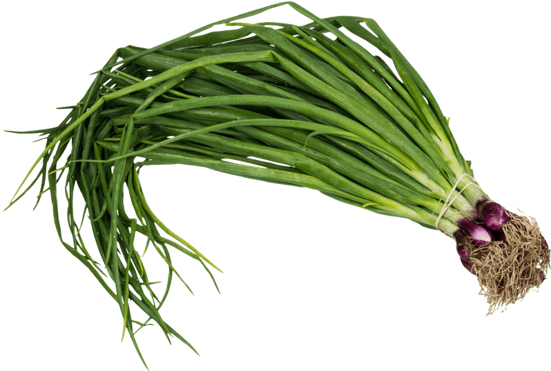 Download Free Png Scallion Spring Onion Png Images Transparent - Png ...