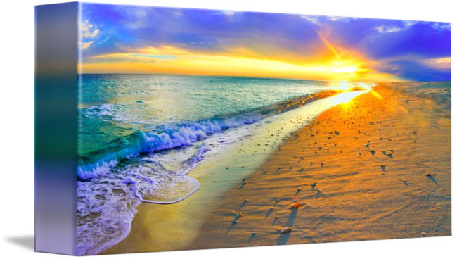 Download Vector Transparent Panoramic Sunset Beach Shells Art - Gallery ...