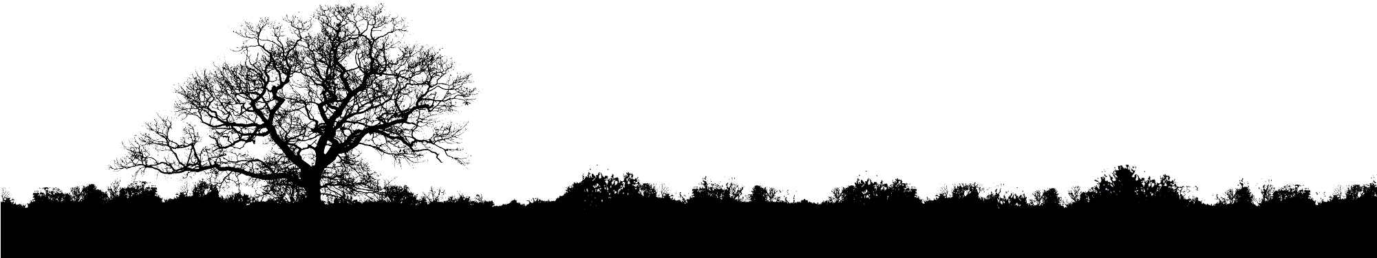 Download Silhouette PNG Image with No Background - PNGkey.com