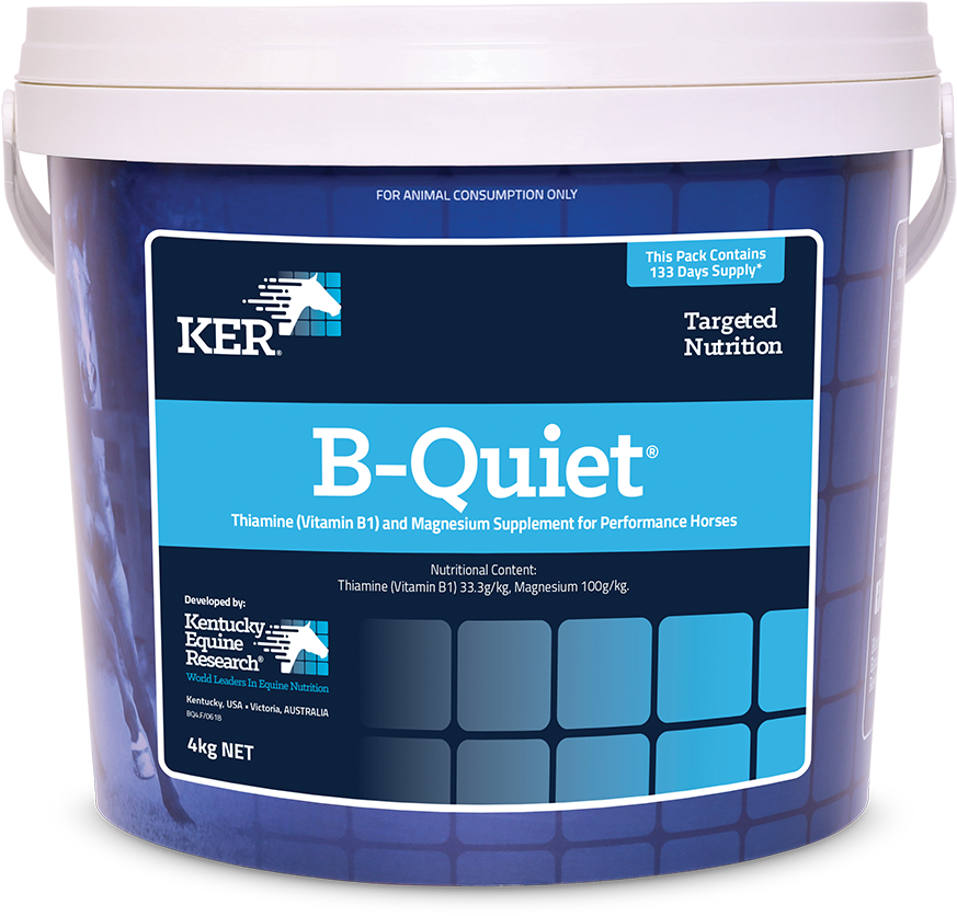 Download B-quiet - Ker Restore PNG Image with No Background - PNGkey.com