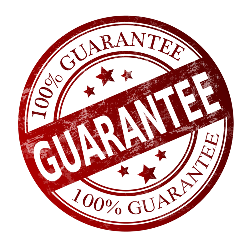 Download Guarantee Png Image - Guarantee .png PNG Image with No ...