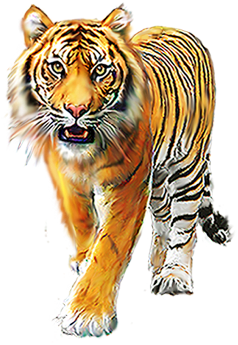 Cartoon Tiger Png - Ranthambore National Park - Free Transparent PNG ...