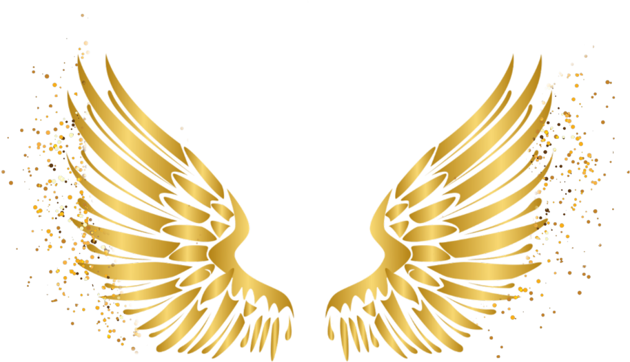 Download Transparent Wings Vector Png PNG Image with No Background ...