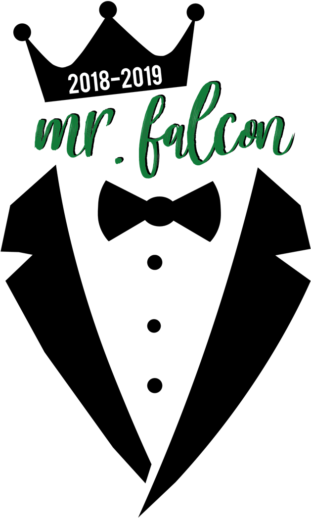 Download Mr Falcon PNG Image with No Background - PNGkey.com