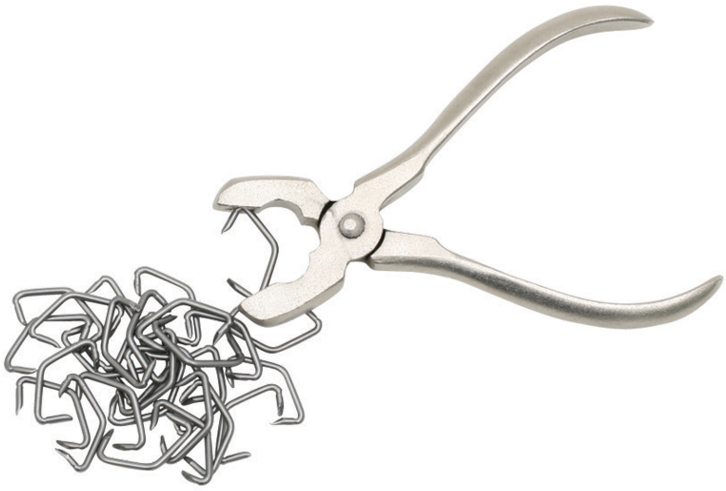 Download Previous - Next - Nipper PNG Image with No Background - PNGkey.com