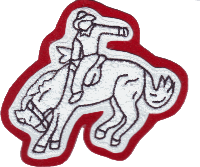 Download Bronco - Stallion PNG Image with No Background - PNGkey.com