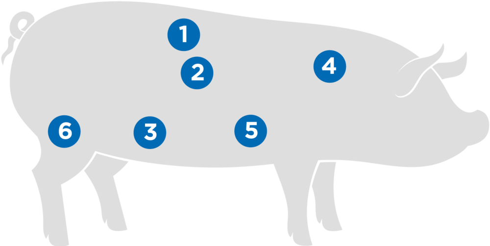 Pork - Free Transparent PNG Download - PNGkey
