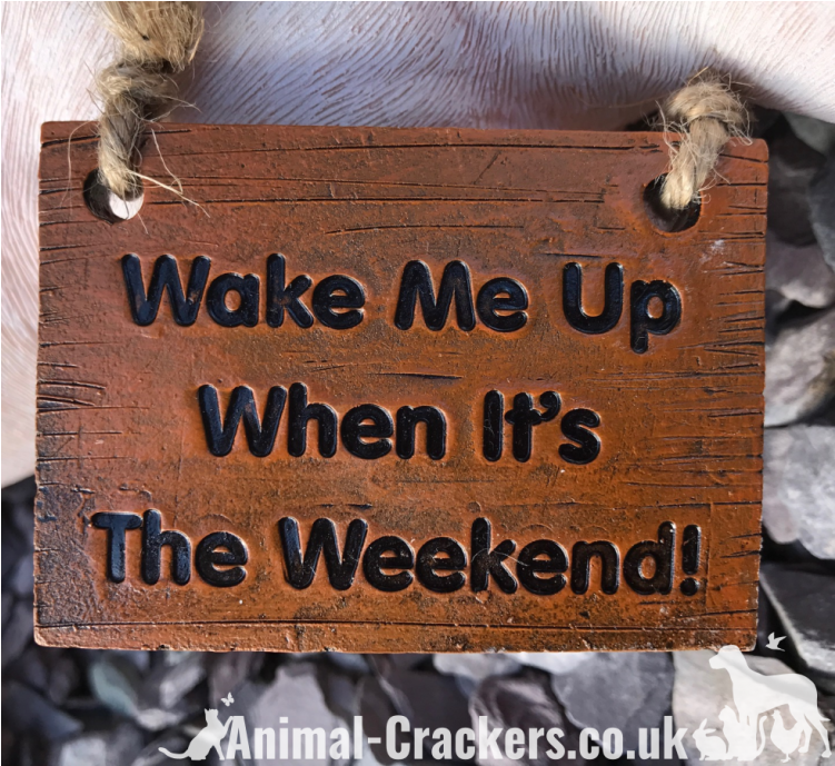 Download 'wake Me Up When It's The Weekend' Sign Sleeping Pig ...