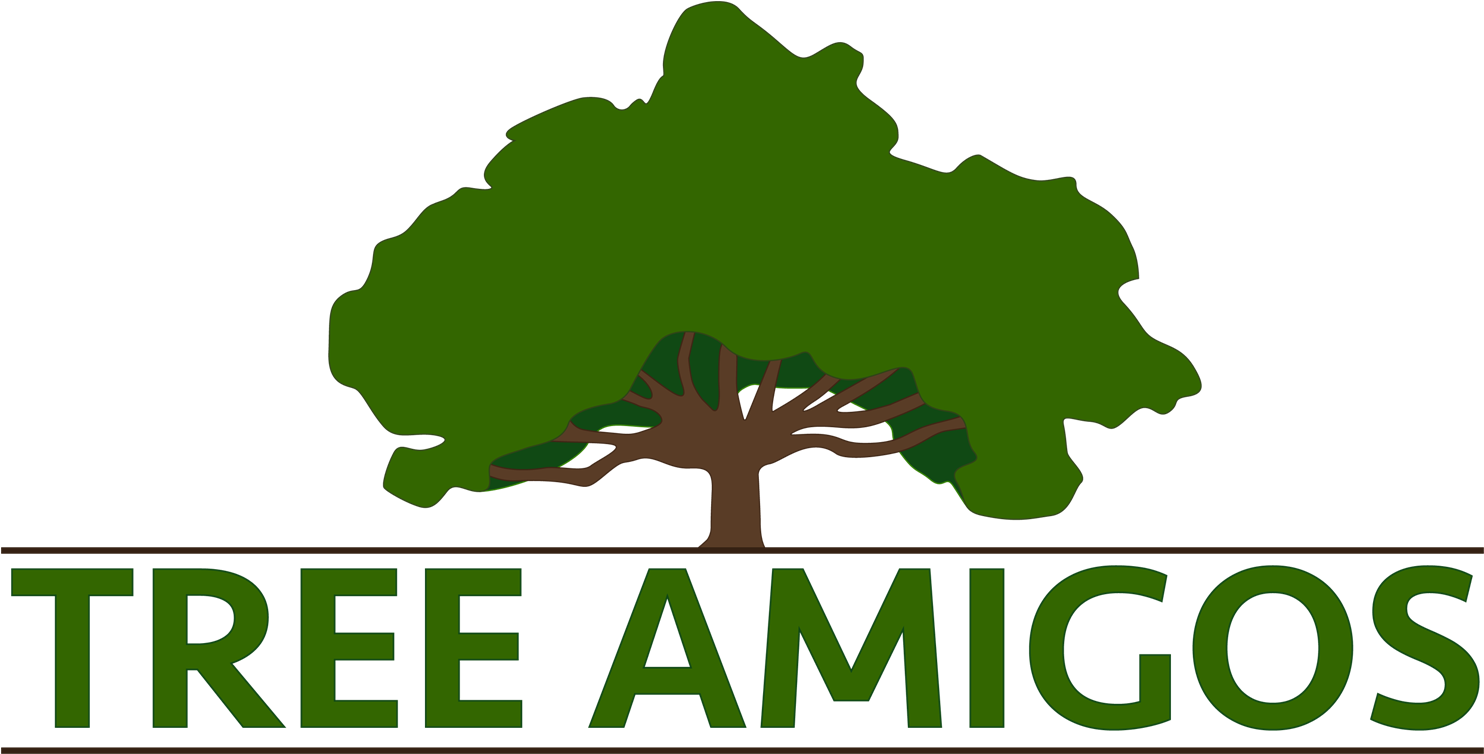 Download Tree Amigos PNG Image with No Background - PNGkey.com