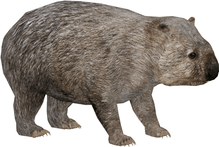 Download Common Wombat Png Image - Wombat Png PNG Image with No ...