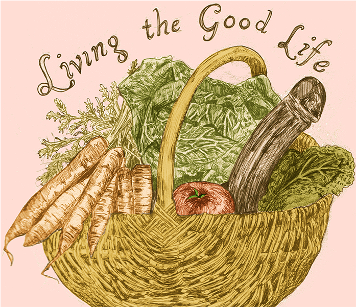 Download Color-life - Color PNG Image with No Background - PNGkey.com