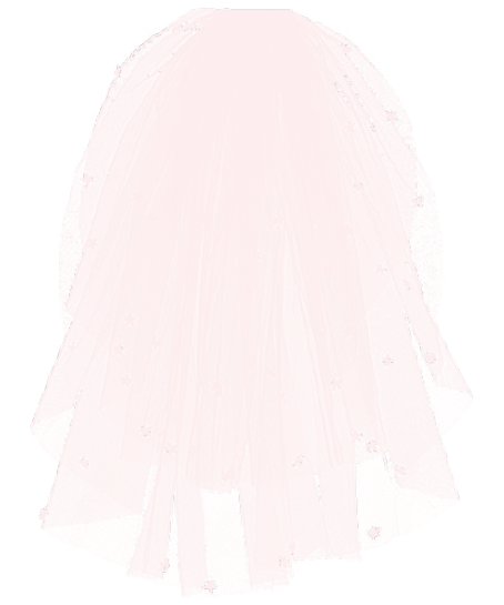 Download Wedding Veil Png - Wedding Veil PNG Image with No Background ...