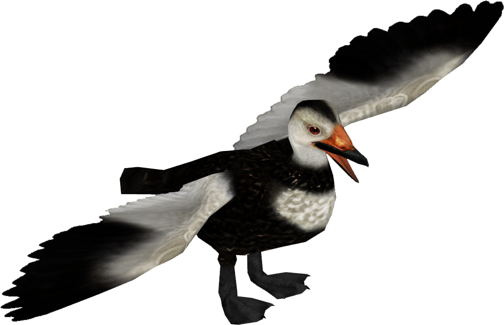 Download Labrador Duck M - Labrador Duck PNG Image with No Background ...