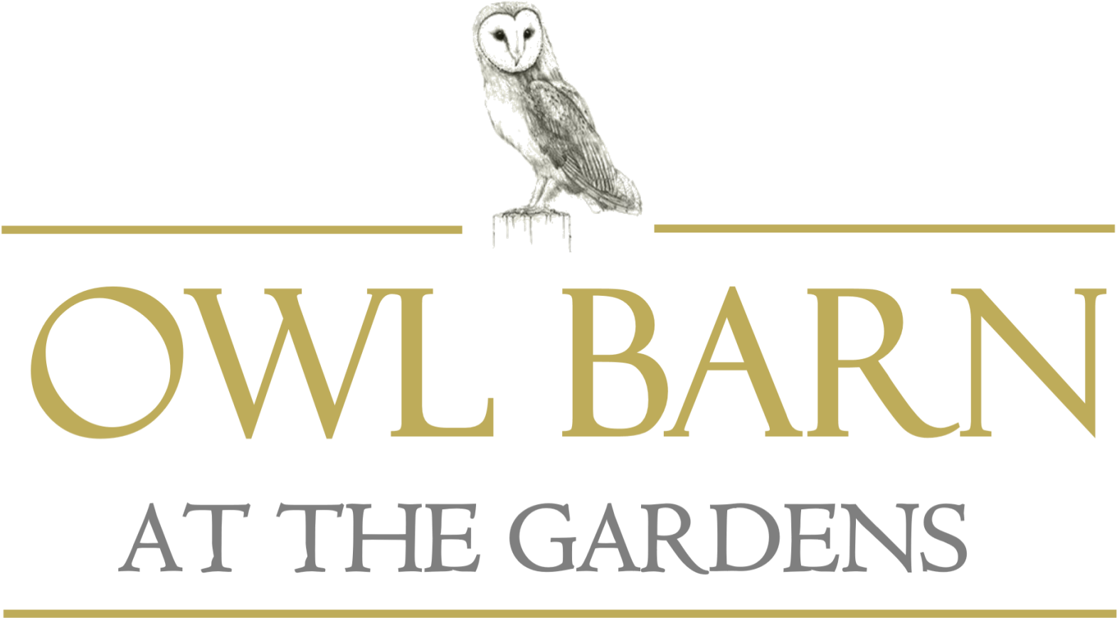 Download Logo - Snowy Owl PNG Image with No Background - PNGkey.com