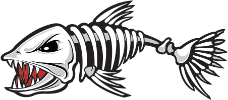 Fish Skeleton - Free Transparent PNG Download - PNGkey