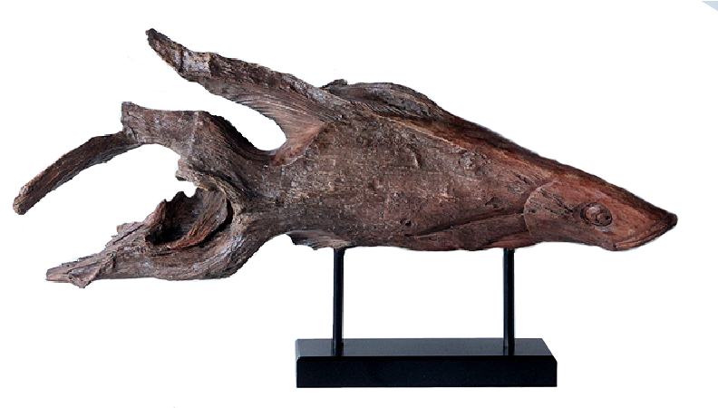Download Bark Fish - Thescelosaurus PNG Image with No Background ...