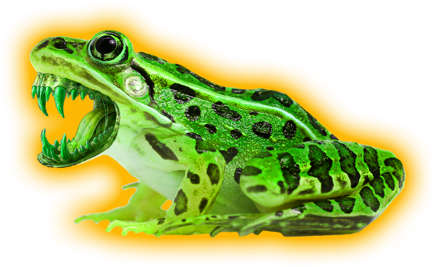 Download David Liebe Hart - Gilaki Language PNG Image with No ...