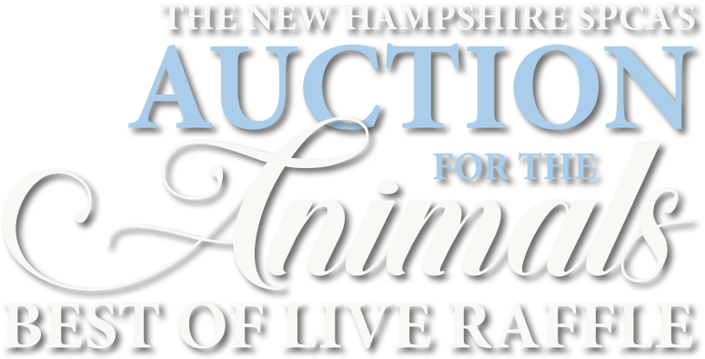 Download About The Best Of Live Raffle - Motionwear PNG Image with No ...