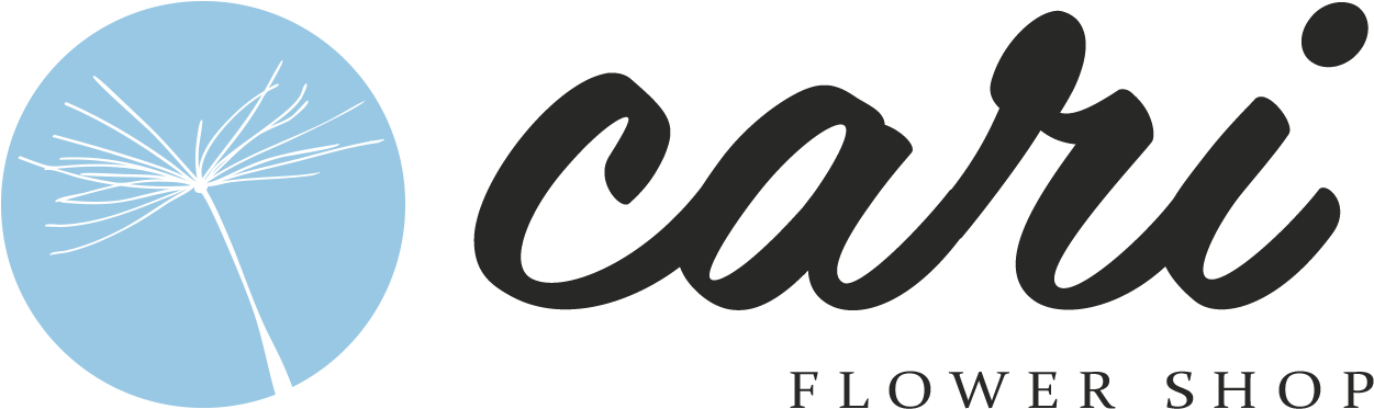 Download Logo Completo Cari - Graphic Design PNG Image with No ...